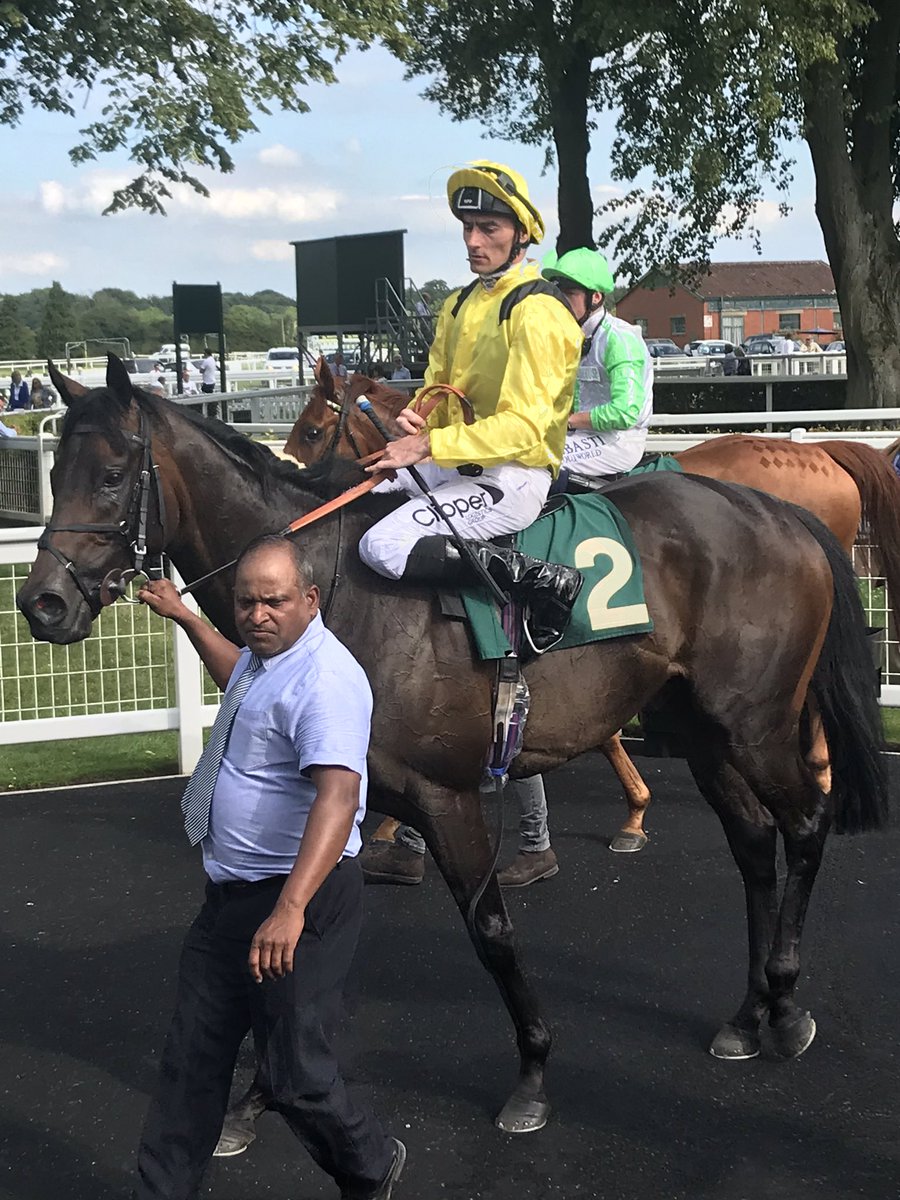 Monday 15th July - 'Visit Ripon' Raceday Review - Ripon Races