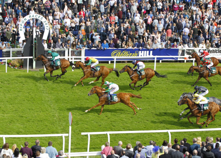 Home - Ripon Races